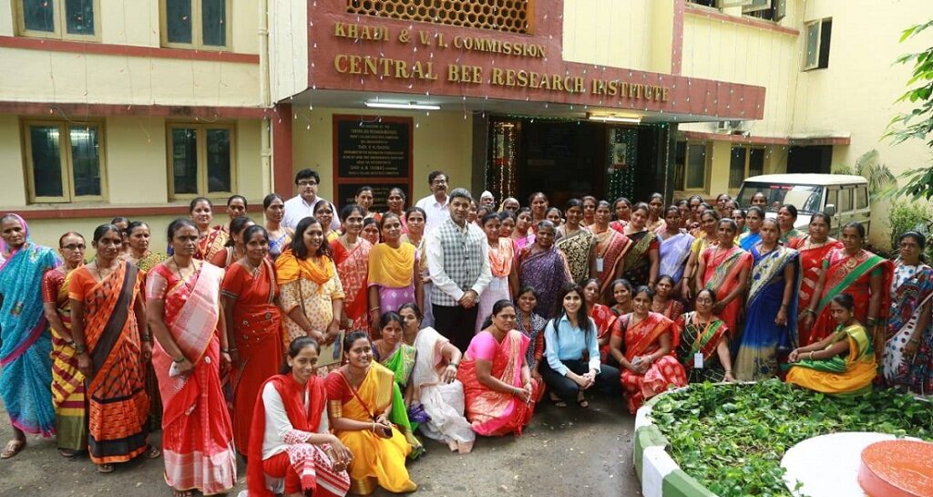 Beekeeping : 100 women from rural Maharashtra launch their journey ...