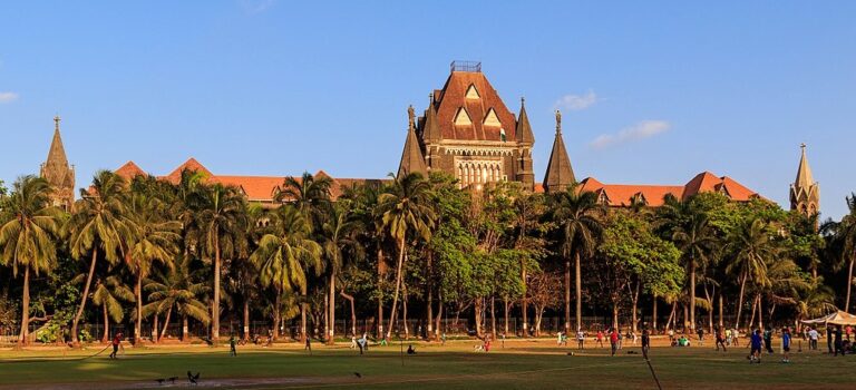 Bombay High Court Takes Action After Tourists Harass Tigress and Cubs ...