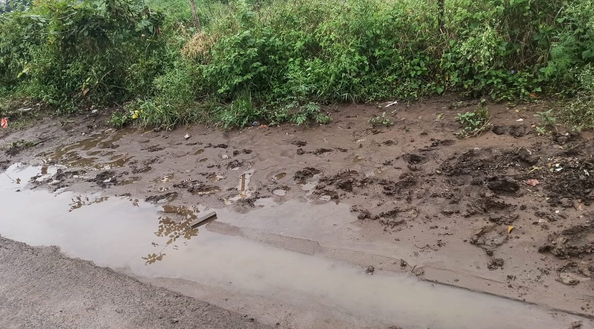 Punekar News Impact: Mud Sludge Removal Work Begins In Bavdhan Area ...