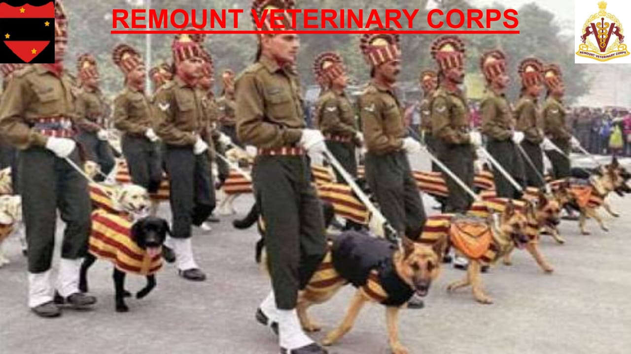 Indian Army: Remount Corps Celebrating 242nd Corps Day - Punekar News