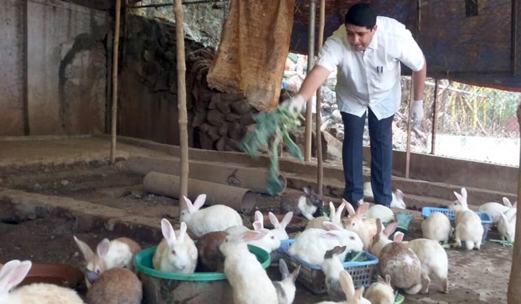 Around 50-60 rabbits and fish liberated from imprisonment; Jeevseva ...