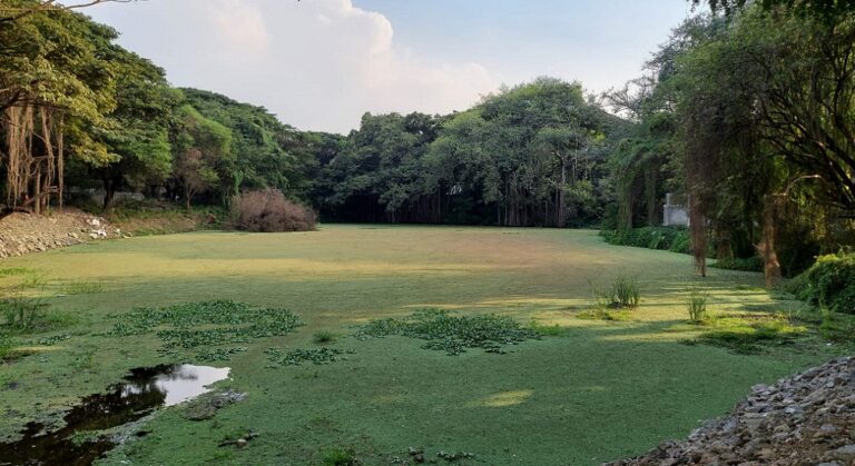 Pune: PCB Rejuvenates British-Era Natural Water Spring Along Solapur ...