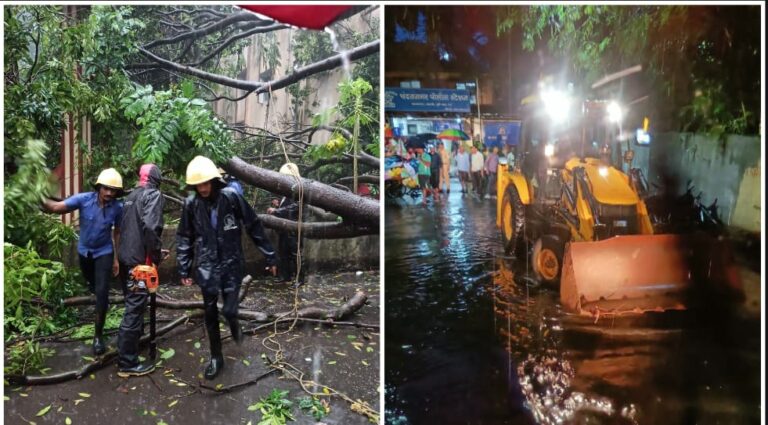 Multiple Incidents Of Tree Falls And Water Logging Across Pune ... Multiple Incidents Of Tree Falls And Water Logging Across Pune ...