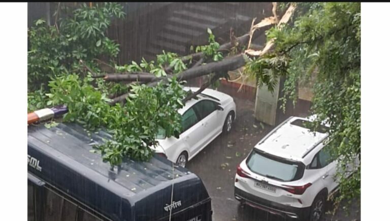 Heavy Rains Lash Pune, Tree Falls And Traffic Jams Reported In Many Areas - Punekar News