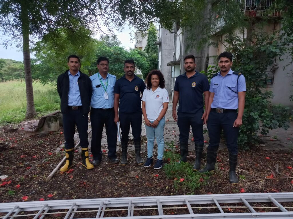 Pune: Kitten Stuck On Tree Rescued By Fire Brigade - Punekar News