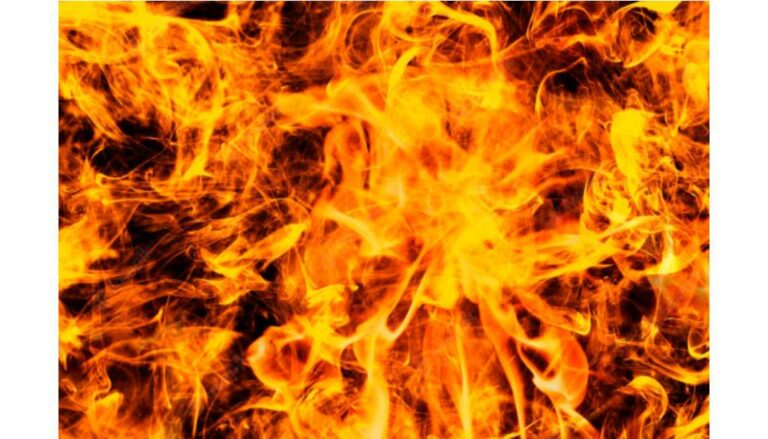 Pune: 15,000 Trees Destroyed in Warje’s Smriti Van Fire; Forest ...