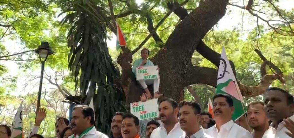 NCP-led Chipko Movement in Pune: Hugging Trees to Save Them from Being ...