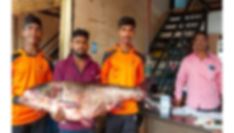 Rare Catch: Fishermen In Indapur Net 30 Kg Silver Fish On Holi ...