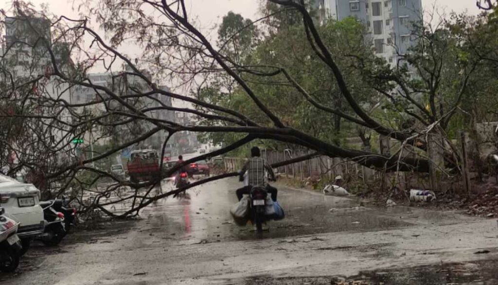 Pune: Two-Wheelers, Trees Fall Victim To Heavy Rains In Ravet - Punekar News
