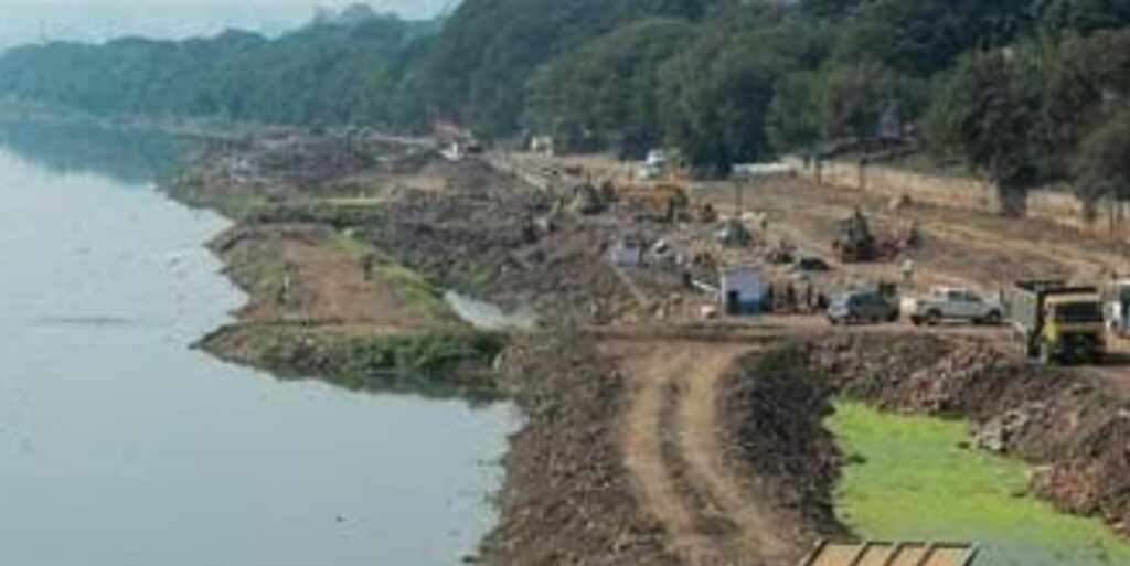 NGT Restrains Pune Municipal Corporation From Tree Felling For ...