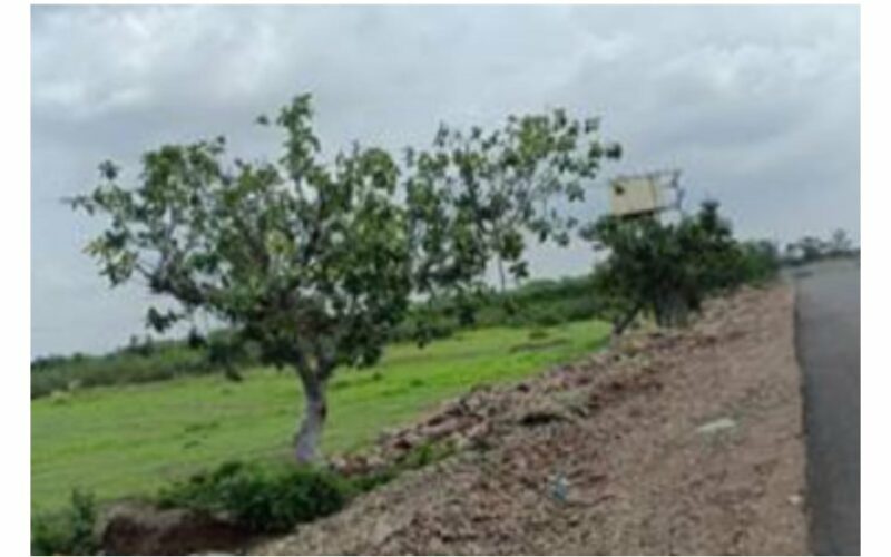 Punekar News – Page 4166 – Pune News, Pimpri-Chinchwad News