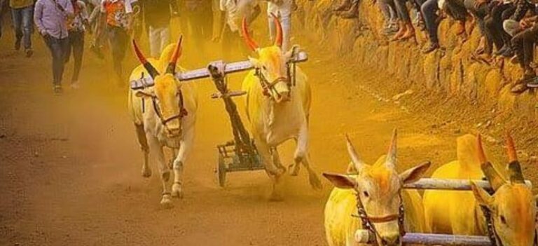 Pune: PCMC Administration Unveils 'Bullock Cart Race Sculpture' to ...