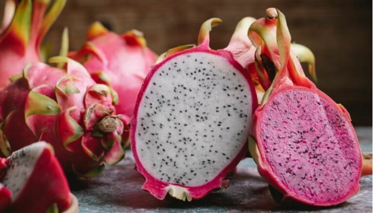 Pune: Exotic Dragon Fruit Becomes Maharashtra's Green Gold With Growing ...