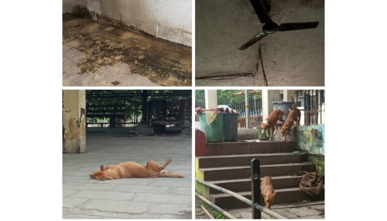 Pune: Koregaon Park Residents Demand Improved Environment and ...