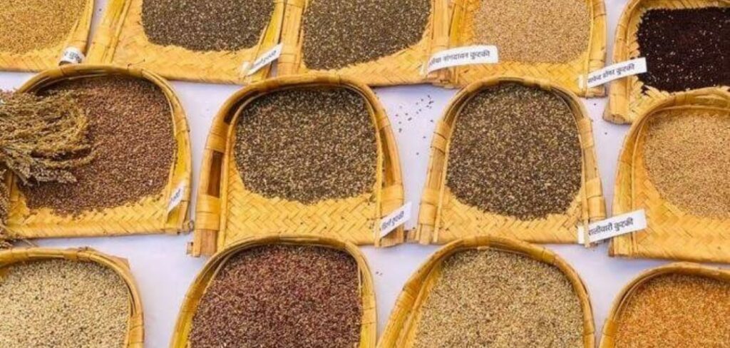 Millets: The Most Neglected Yet Highly Nutritious Grains on Earth ...