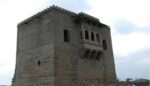 Pune: Bee Attack On Shivneri Fort Leaves 47 Injured Amid Shiv Jayanti ...