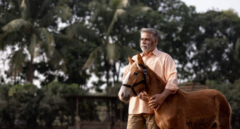 Pune: Bhimthadi Horse Gets the Status of an Independent Breed - Punekar ...