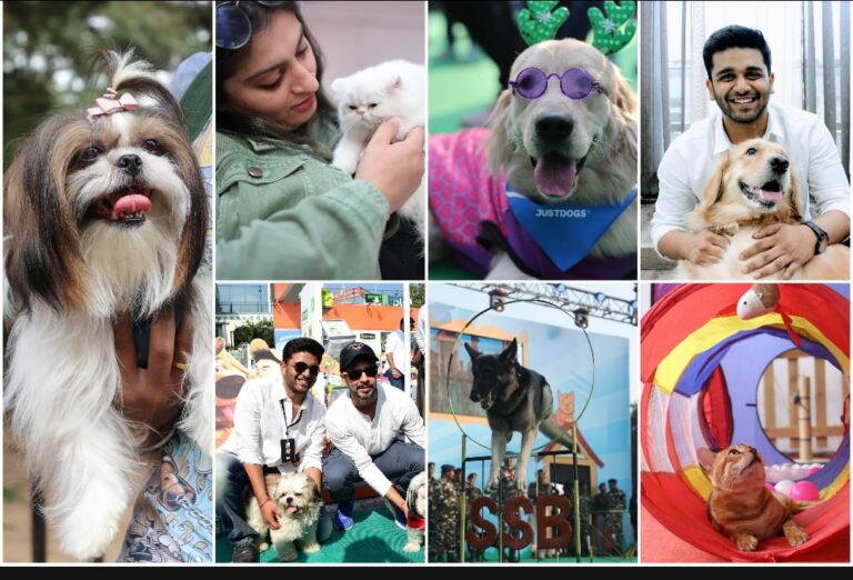 India's Biggest Pet Festival happening In Pune For The 1st Time ...