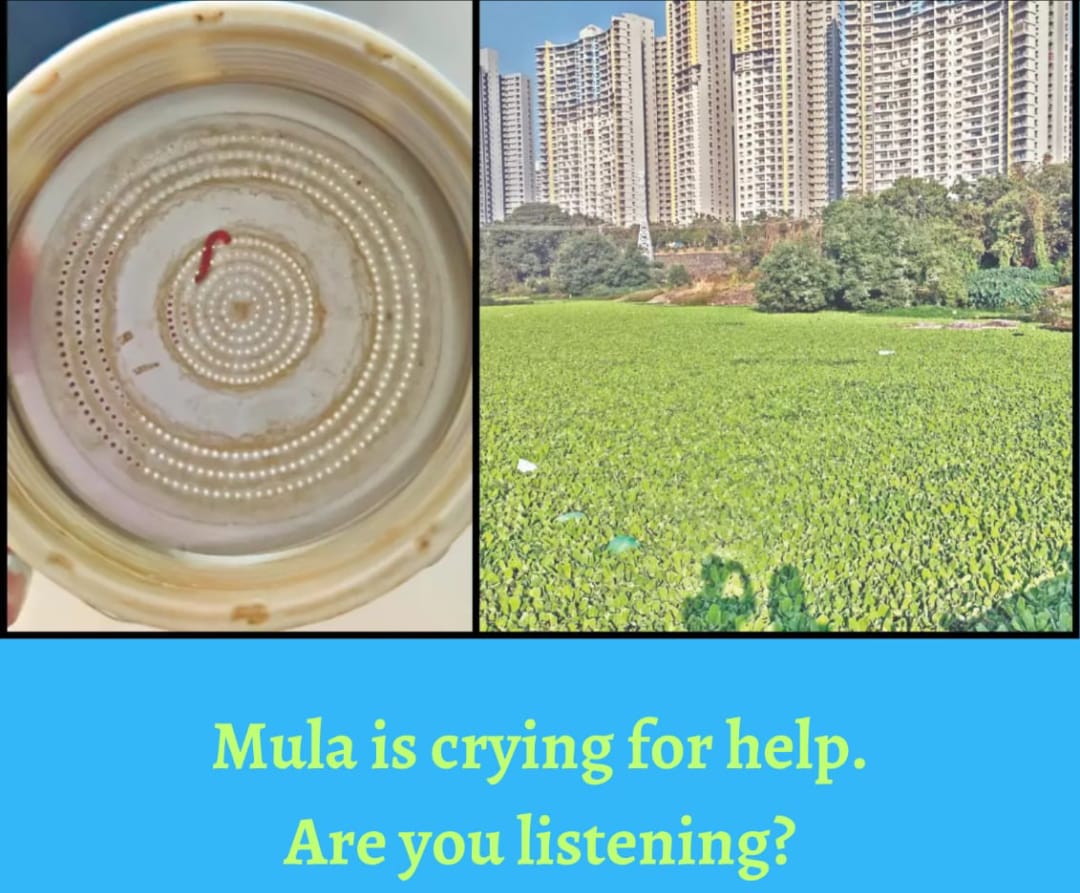 Pune: Blue Ridge Hinjawadi Residents Launch 'Save Mula River Initiative ...