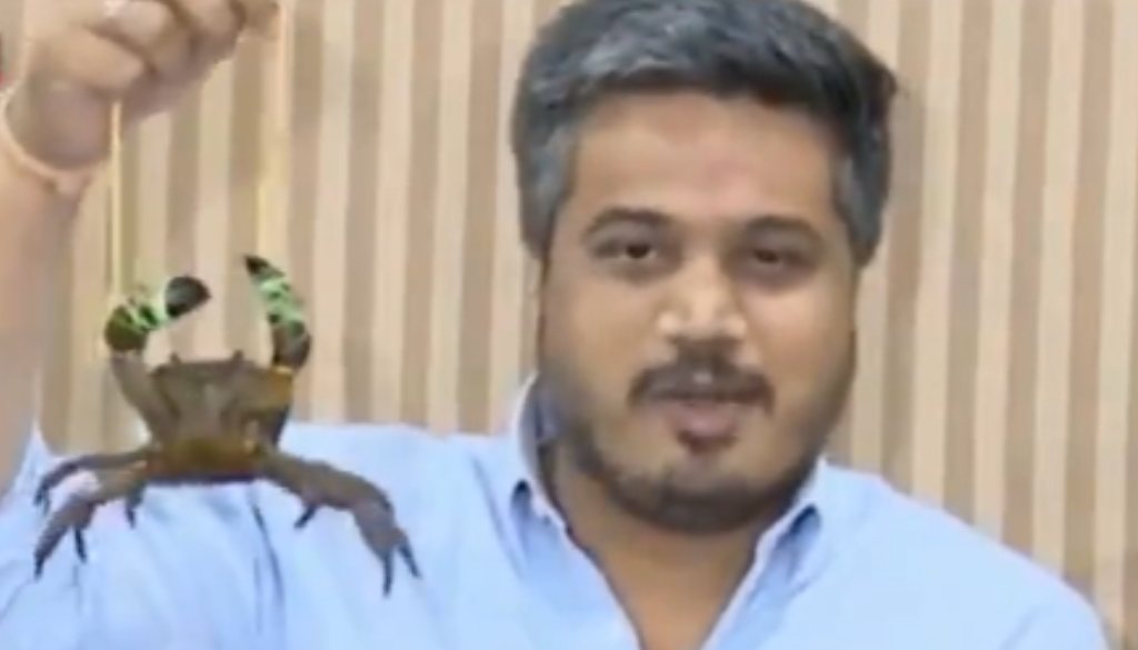 Pune: PETA India Demands Action Against NCP MLA Rohit Pawar Over ...