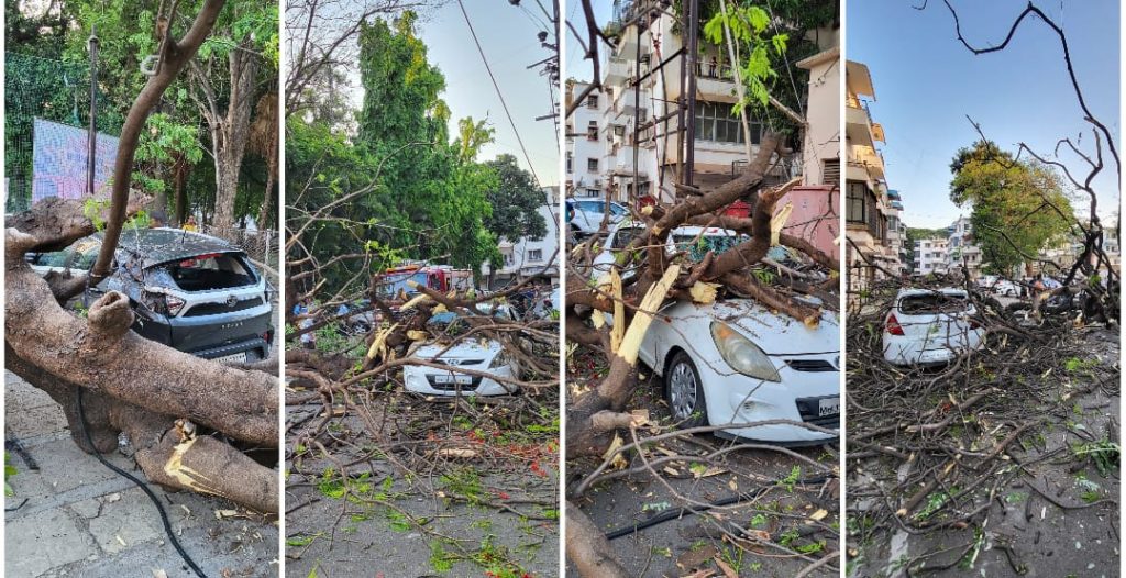 Pune: Tree Fall Incident Damages Vehicles At Mira Society, Shankarsheth Road - Punekar News