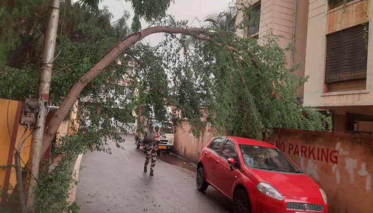 Pune Firefighters Tackle 25 Tree Fall Cases During Monsoon Downpour ...