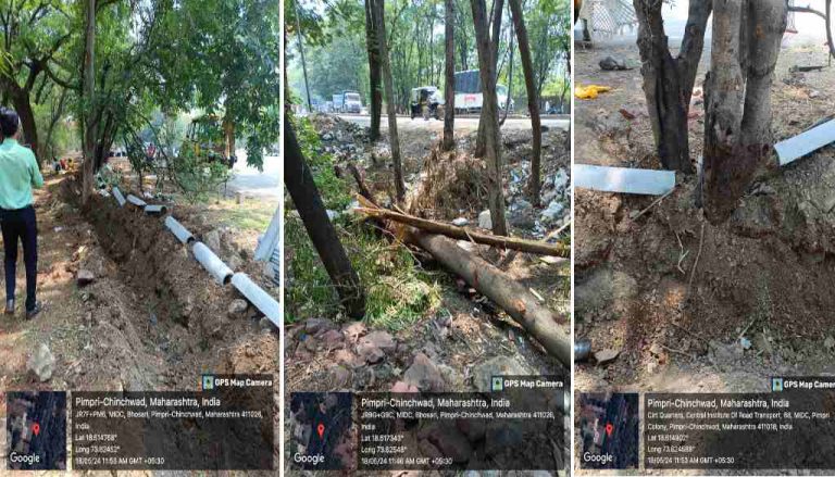 Pune: FIR Filed Against Prominent Builder Kumar Gera For Illegal Tree ...