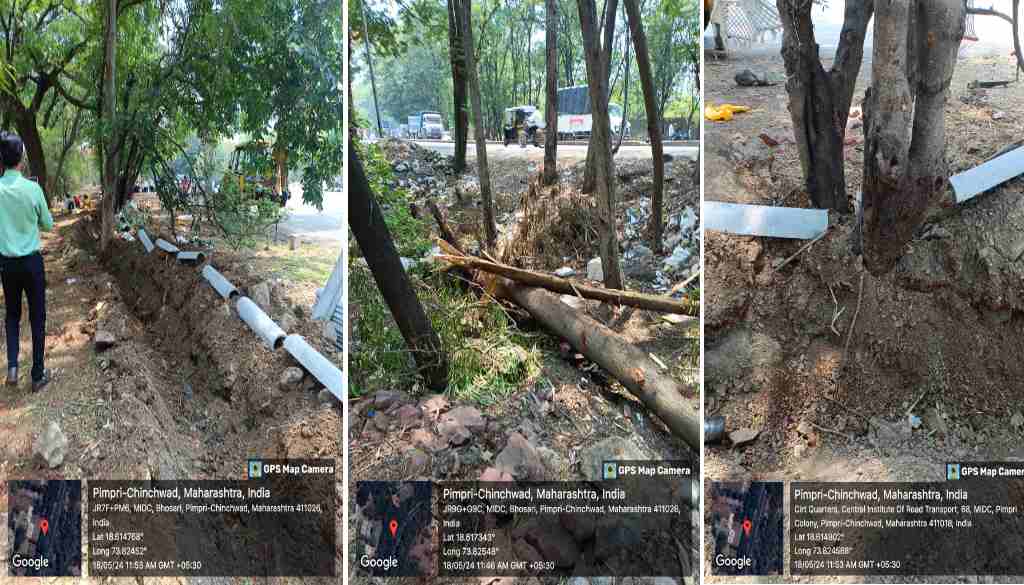 Pune: FIR Filed Against Prominent Builder Kumar Gera For Illegal Tree ...