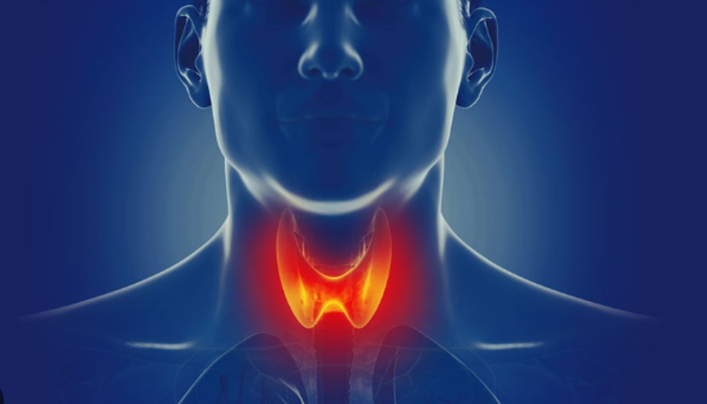 Thyroid Care: Understanding Conditions and Managing Your Health ...