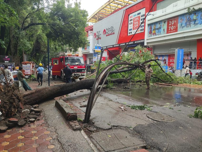 Pune: 19 Tree Fall Incidents Reported Due to Rains Till 6 PM - Punekar News