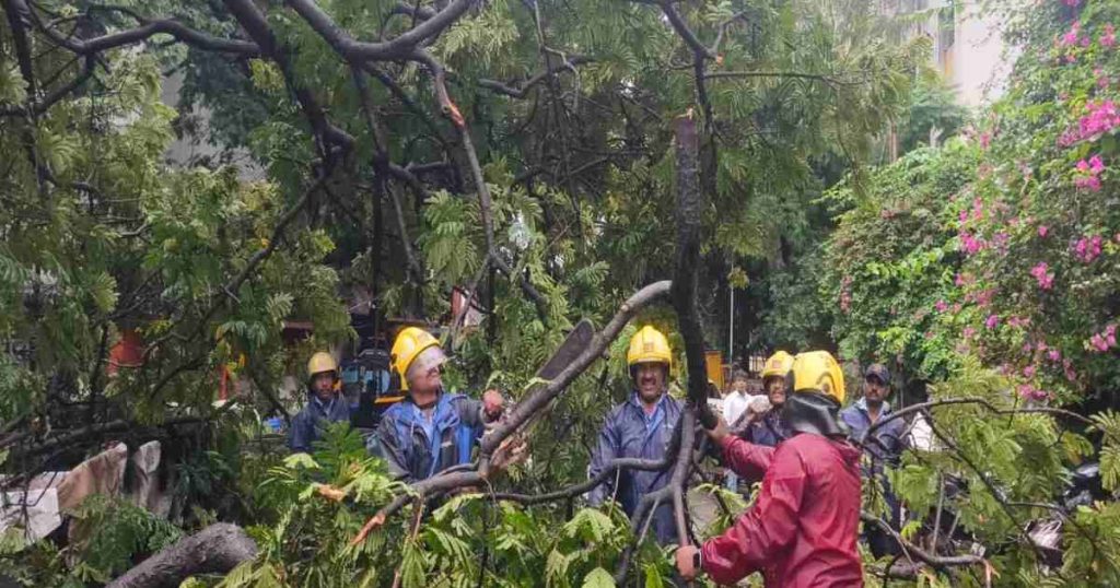 Continuous Rain in Pune Causes 24 Tree Falls in 24 Hours - Punekar News
