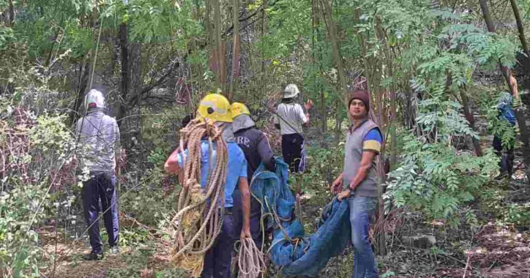 Pune: Leopard Spotted on College Campus in Lohgaon, Authorities Begin ...