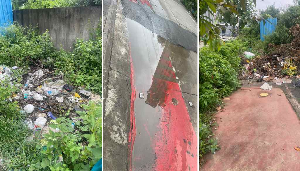 Swachh Pan Card Club Road Abhiyan Launches Cleanliness Initiative to ...