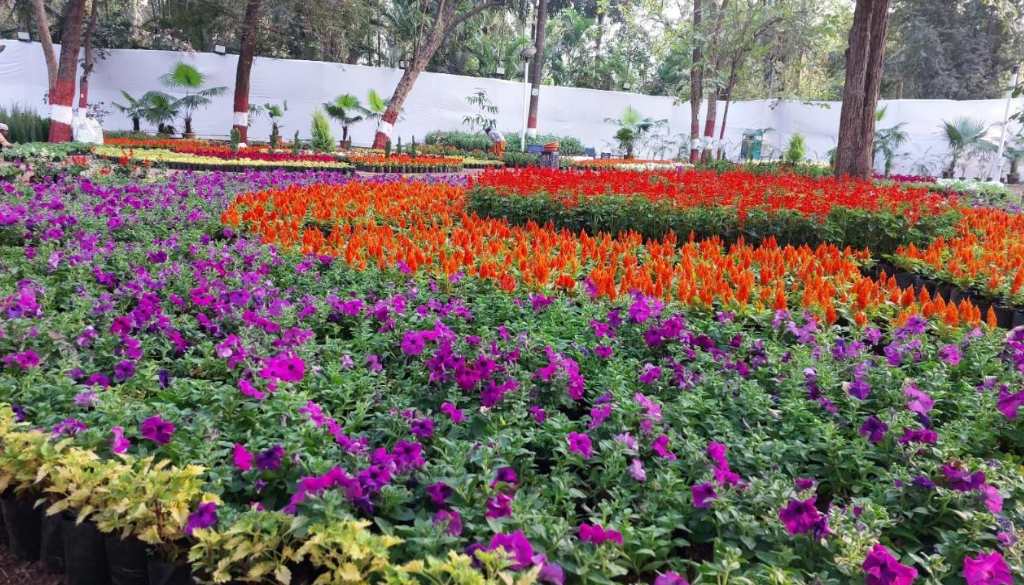 Empress Botanical Garden Prepares for Spectacular Annual Flower Show ...