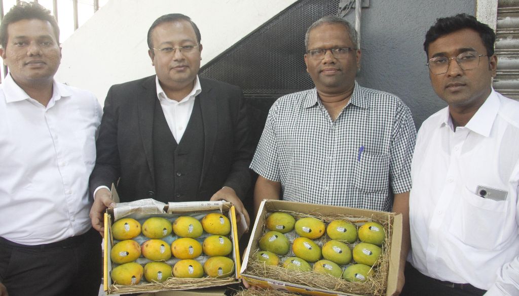 Devgad Hapus Mangoes to Now Carry UID Codes - Punekar News