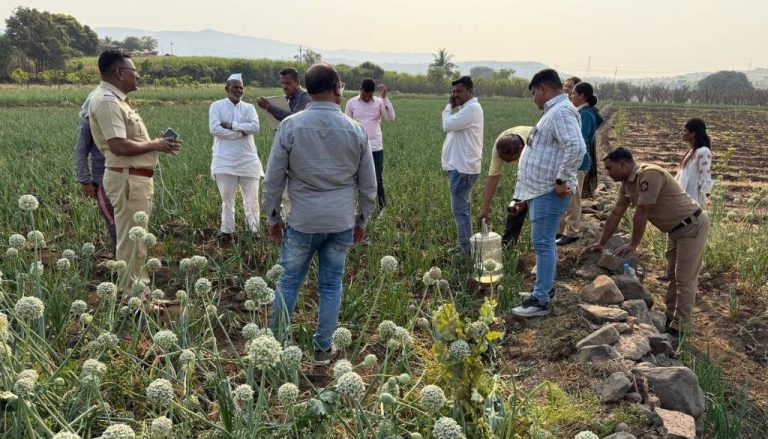 Pune Police Raid Opium Farm, One Woman Arrested - Punekar News