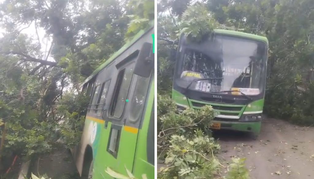 Pune: Tree Falls on Moving PMPML Bus in Pimpri-Chinchwad; 7 Injured, Traffic Snarled - Punekar News