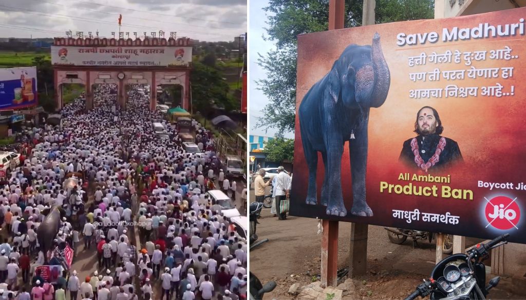 CM Fadnavis Promises Talks Amid Growing Demand to Bring Back Elephant ...