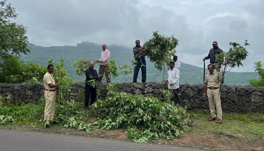 Pune: Green Movement Launched at Sinhagad to Eliminate Invasive Weeds ...