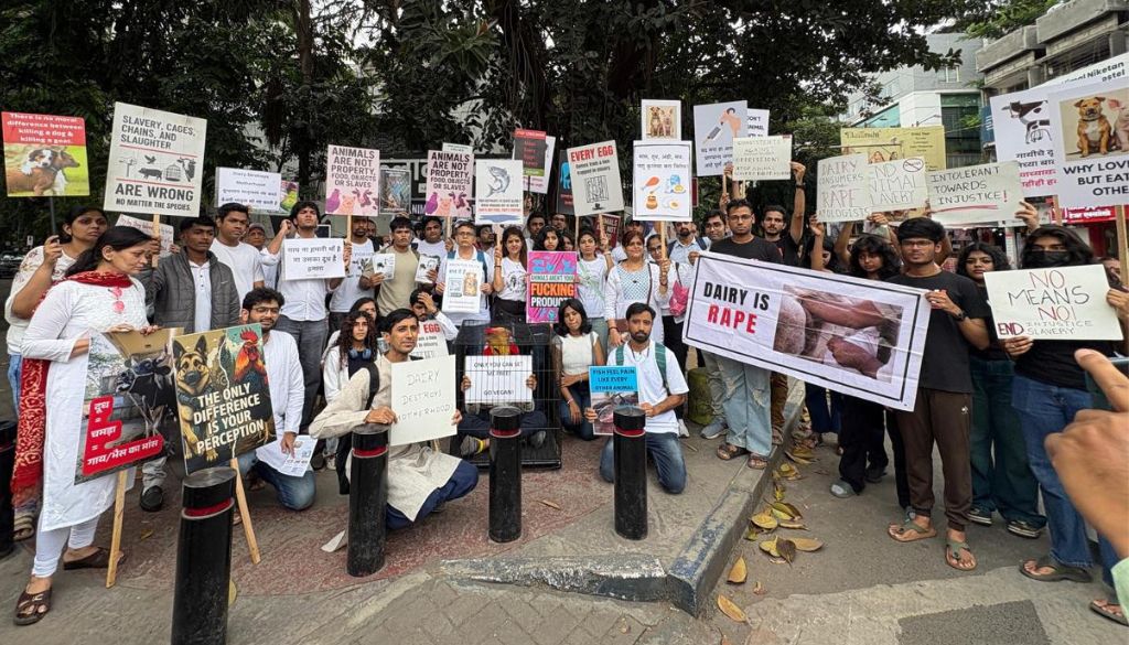 Hundreds March in Pune Against Animal Abuse - Punekar News