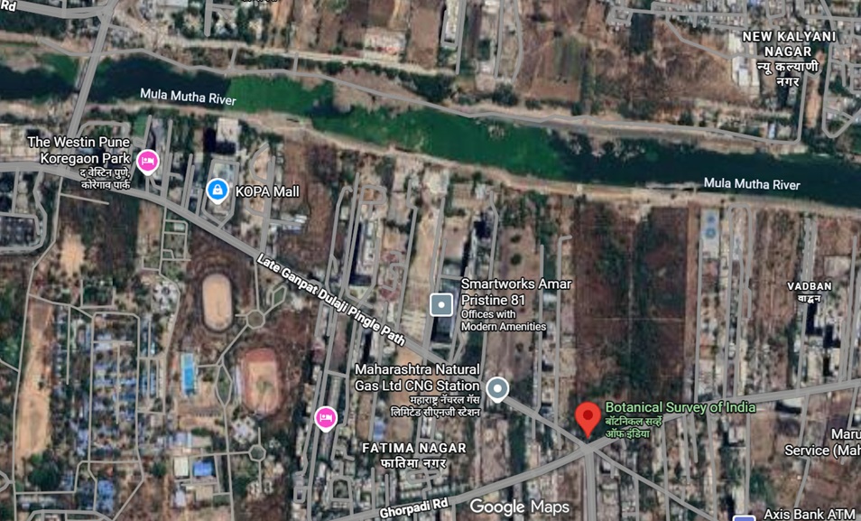 From Mahar Watan Land to Botanical Garden to Billion-Rupee Scandal: The Untold Story of Mundhwa ...