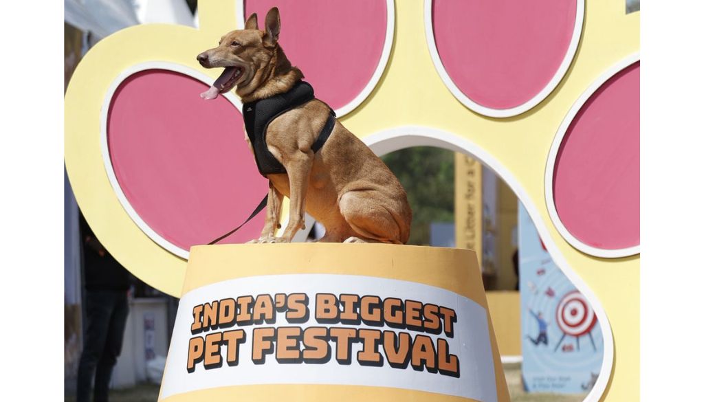 Pet Fed Pune 2025 Kicks Off With 1100 Pets and Thousands of Visitors on ...