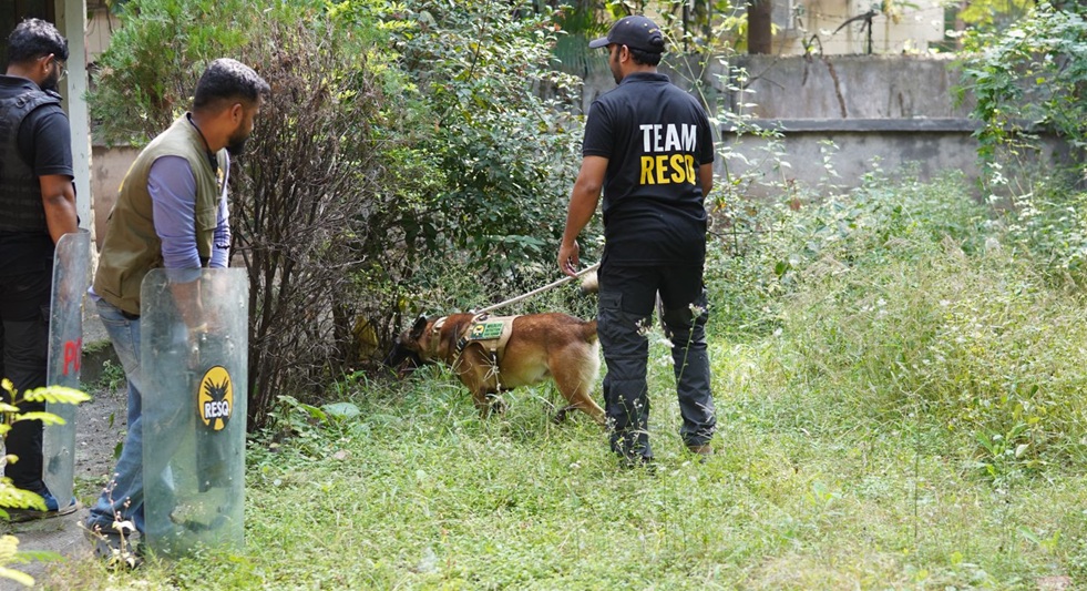 Pune: Aundh on Alert After CCTV Spots Leopard; Helpline Issued By ...