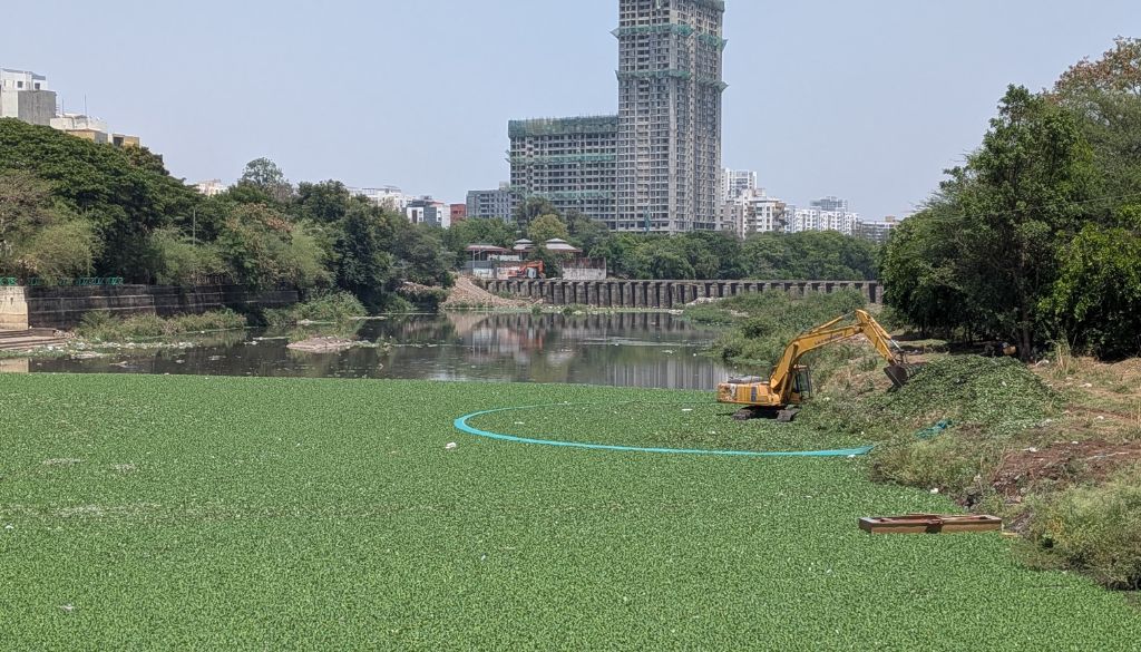 Pune: Mula River Flows Freely Again Near Hinjawadi After Citizen Action ...